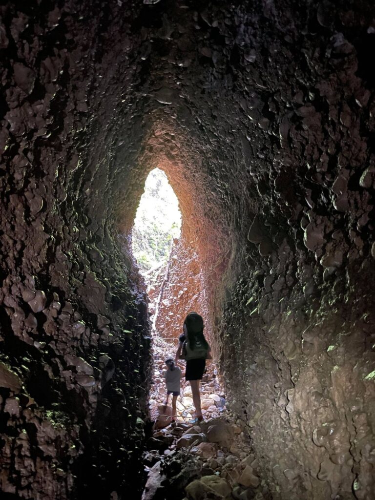 About Us - Beast.School